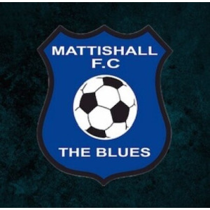 Mattishall Youth FC - Football Clubs | 4Sports Group