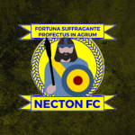 Necton FC - Football Clubs | 4Sports Group